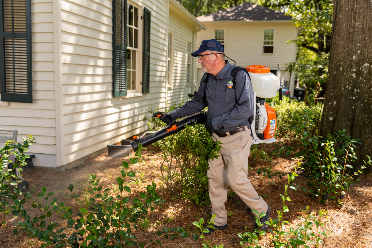 Fogging Misting Barrier Spray Understanding Mosquito Control Practices